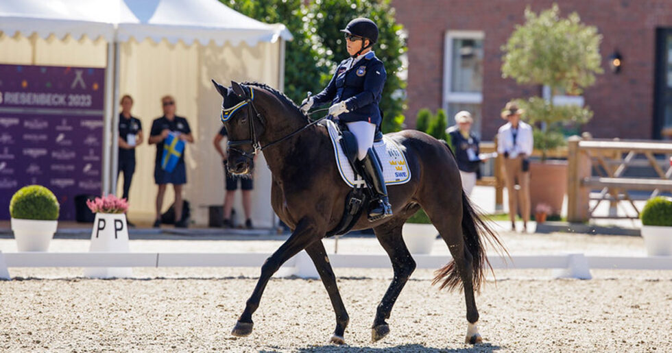 Kürfinal för debutanten – nu dags för Etzner Jakobsson och Wallin ...